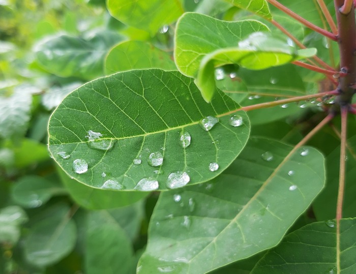 Vítejte v novém školním roce! :: Agenturaamos